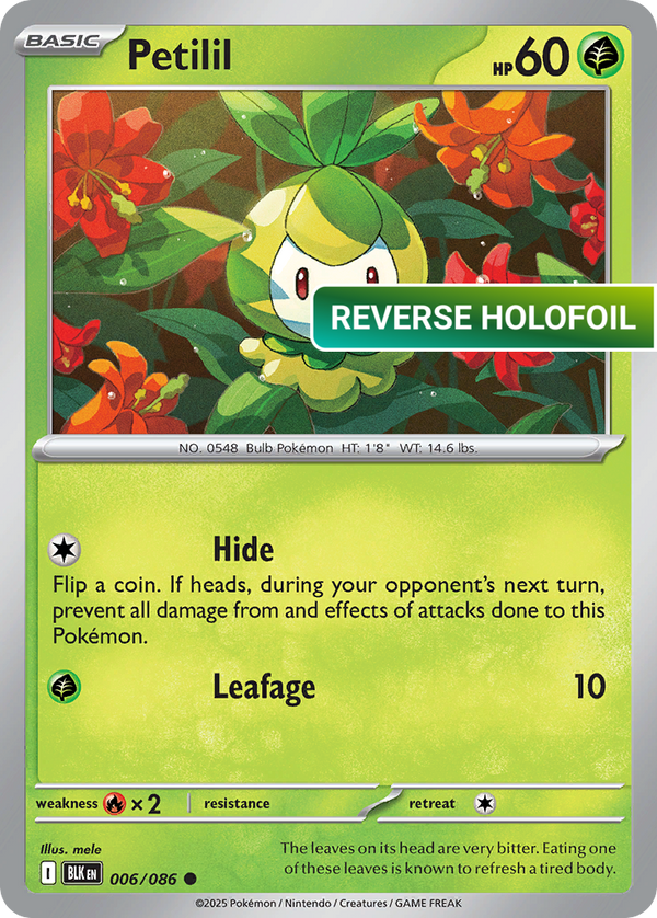 Petilil (Black Bolt) #6 [English/Reverse Holofoil] | Pokémon TCG ...